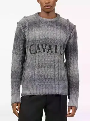 Roberto Cavalli Embroidered-logo Crew-neck Sweater - Grey