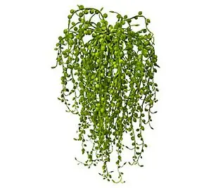 NEARLY NATURAL Senecio Artificial Succulent - One-color