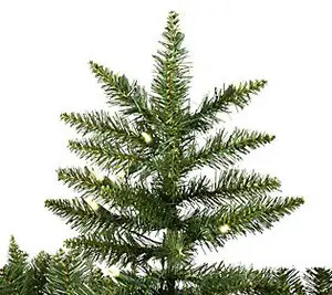 VICKERMAN 7.5' X 55' Camdon Fir Tree By