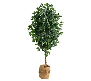 NEARLY NATURAL 6' Ficus W/ Natural Trunk In Jut E Planter - One-color