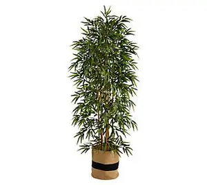 NEARLY NATURAL 6' Bamboo Tree In Natural Cotton Planter Nea Rly Natural - One-color