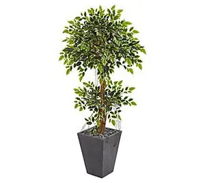 NEARLY NATURAL 5' Variegated Ficus Artificial Tree In Slate Pl Nter - One-color