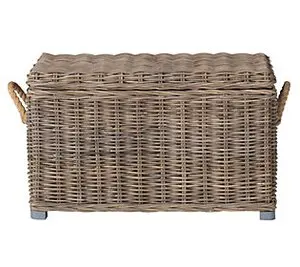 SAFAVIEH Salim Wicker Trunk - One-color