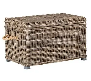 SAFAVIEH Salim Wicker Trunk