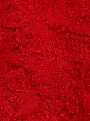 Wolford Belle Fleur Lace Bikini Brief - Red