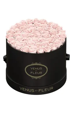 Venus Et Fleur Classic Large Eternity Roses - Blush