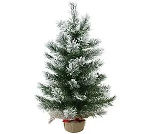 NORTHLIGHT Flocked Pine Christmas Tree In Burla P Base - One-color