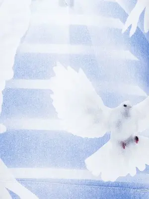 Supreme Doves-print Hoodie - Blue