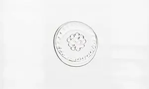 JULISKA Berry & Thread Large Hurricane Glass Candleholder