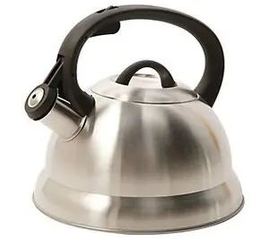 MR. COFFEE Flintshire 1.75-qt Stainless Steel T Ea Kettle - Silver