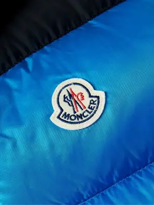 Moncler Logo-appliquéd Quilted Shell And Ripstop Down Hooded Jacket - Blue