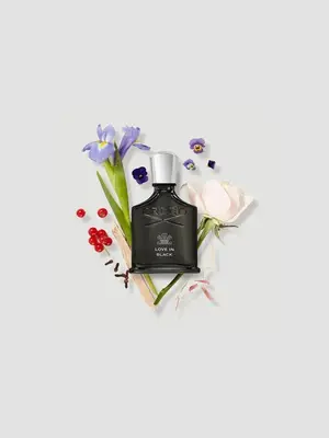 CREED Love In Black Perfume - One-color
