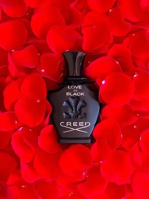 CREED Love In Black Perfume - One-color