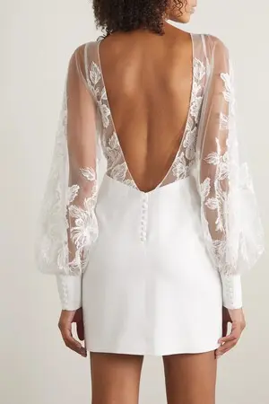Rime Arodaky Lisa Open-back Embroidered Tulle And Crepe Mini Dress