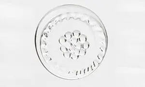 JULISKA Berry & Thread Medium Hurricane Candleholder
