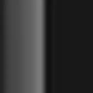 Chanel Angled Eyeliner Brush N°206