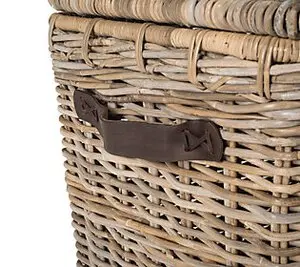 SAFAVIEH Amancio Wicker Trunk
