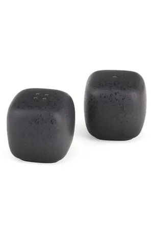 NAMBE Taos Salt & Pepper Shakers Set - Black