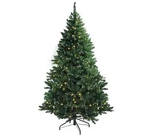 NORTHLIGHT Prelit Buffalo Fir Medium Christmas Ee - One-color