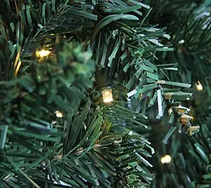 NORTHLIGHT Prelit Buffalo Fir Medium Christmas Ee