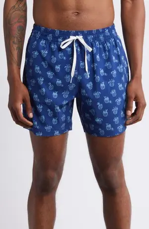 CHUBBIES Classic Lined 5.5-Inch Swim Trunks Navy Stripe