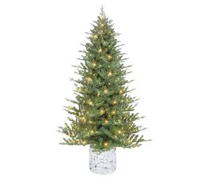 PULEO INTERNATIONAL 6.5' Pe/pvc Potted Tree - One-color