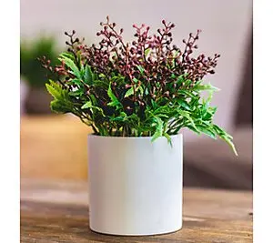 PACIFIC THYME Artificial Faux Plant In Ceramic Pot