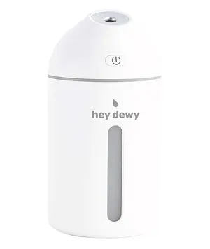 HEY DEWY Portable Facial Humidifier