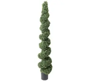 VALERIE PARR HILL American Boxwood Spiral Topiary Valerie - One-color
