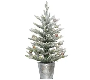 PULEO INTERNATIONAL Puleo Pre-lit 2' Flocked Table Top Artificial C Hristmas Tree - One-color