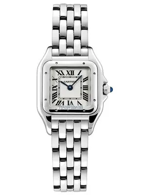 Cartier Panthère De 22mm Small Stainless Steel Watch