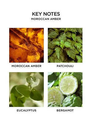 NEST NEW YORK Moroccan Amber Liquid Soap
