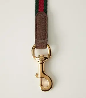 Gucci Web Stripe S/m Dog Leash