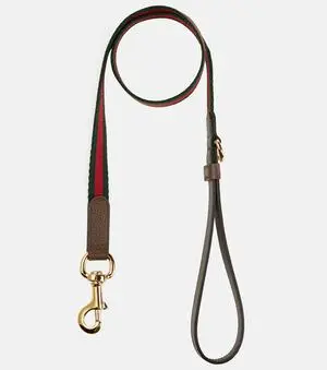 Gucci Web Stripe S/m Dog Leash - Multicoloured