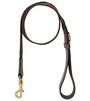 Gucci Web Stripe L Dog Leash - Multicoloured
