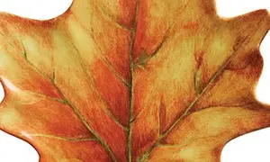 JULISKA Forest Walk Set Of 4 Leaf Plates