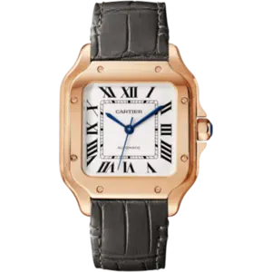 CARTIER Santos De Watch