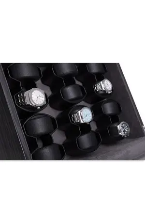 BEY-BERK Cosmo 12-watch Winder & Case