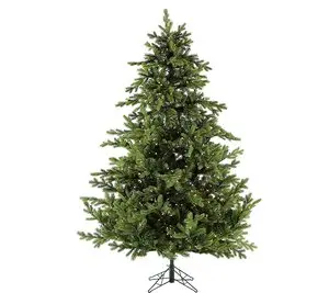 FRASER HILL FARM 12' Foxtail Pine Clear Smart P Relit Tree - One-color