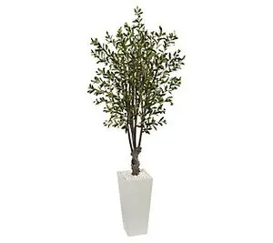 NEARLY NATURAL 6' Olive Artificial Tree In Planter Nearly N Atural - One-color