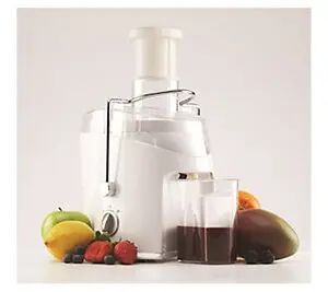 BRENTWOOD 350-ml Juice Extractor