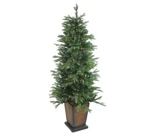 NORTHLIGHT Pre-lit Potted Oregon Noble Fir Chri Stmas Tree - One-color