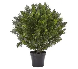 NEARLY NATURAL 3' Cedar Bush By - One-color