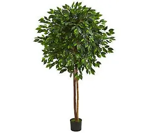 NEARLY NATURAL 6.5' Ficus Artificial Tree By - One-color