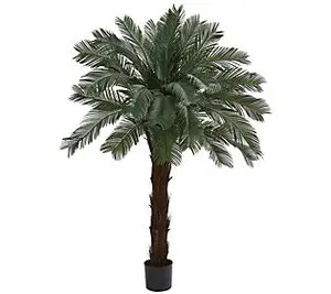 NEARLY NATURAL 6' Cycas Artificial Tree By - One-color