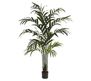 NEARLY NATURAL 6' Kentia Artificial Tree By - One-color