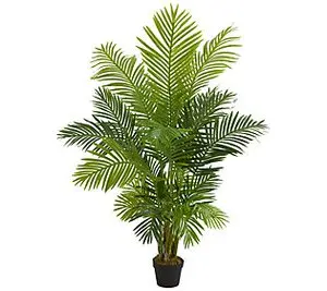 NEARLY NATURAL 5' Hawaii Palm Artificial Tree Nearly Natura L - One-color