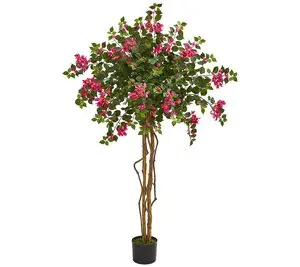 NEARLY NATURAL 5.5' Bougainvillea Artificial Tree Nearly Na Tural - One-color