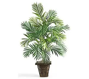 NEARLY NATURAL Areca Palm With Wicker Basket By - One-color