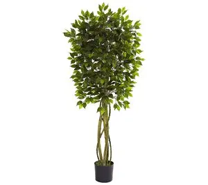 NEARLY NATURAL 5-1/2' Indoor/outdoor Ficus Tree Nearly Natu Ral - One-color